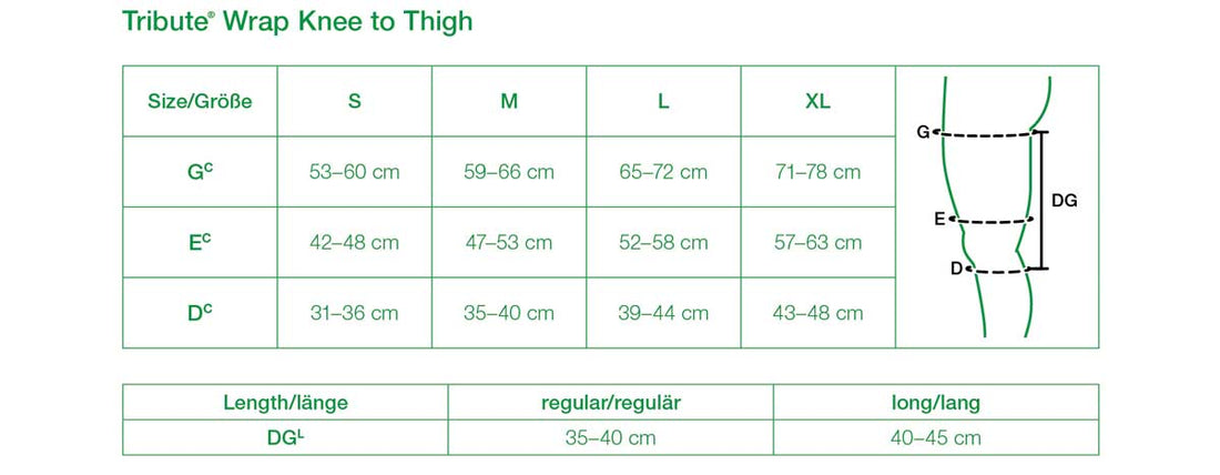 Knee to Thigh (LE-DG) – Dunn Medical